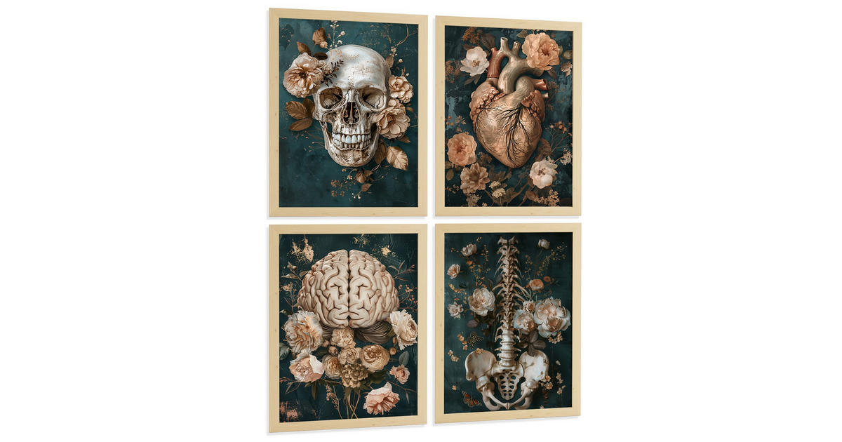 Nacnic POSTER Set aus 4 Anatomie Drucke und Wandbilder mit Schädel Herz ...