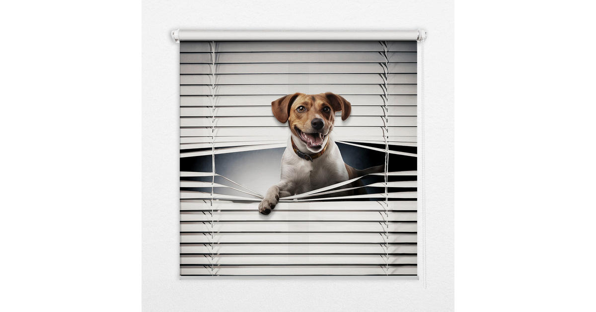 TULUP INNENROLLO - Fensterrollo - Rollo - 100x140 cm - Hund jetzt nur ...