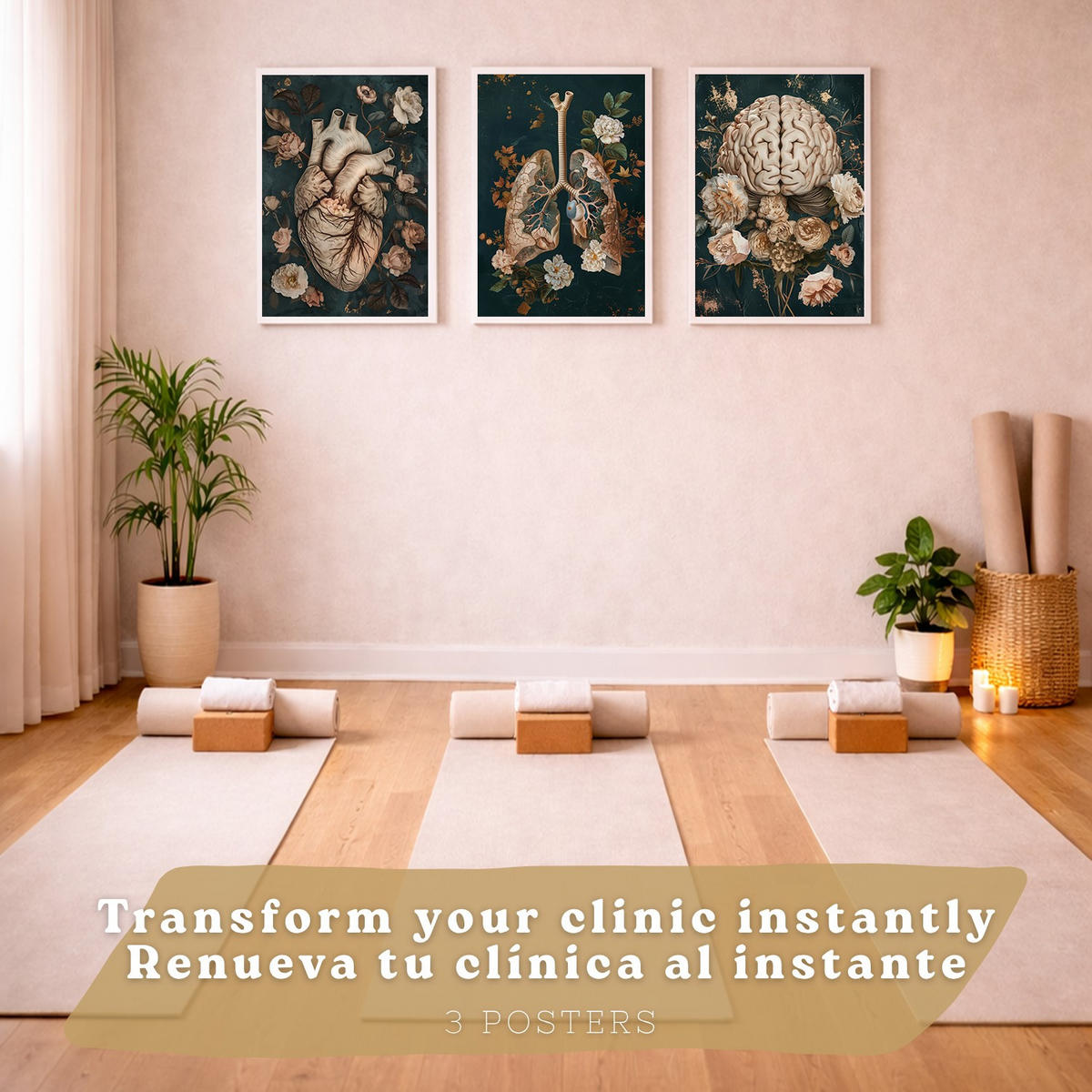 Nacnic POSTER Set aus 3 Anatomie Drucke und Dekorative Wandbilder mit ...