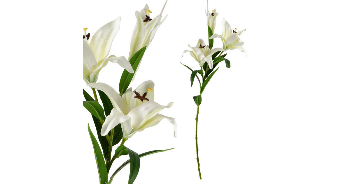 Mondex KUNSTBLUME Viridis weiß 4/4/90 cm Kunststoff jetzt nur online ...