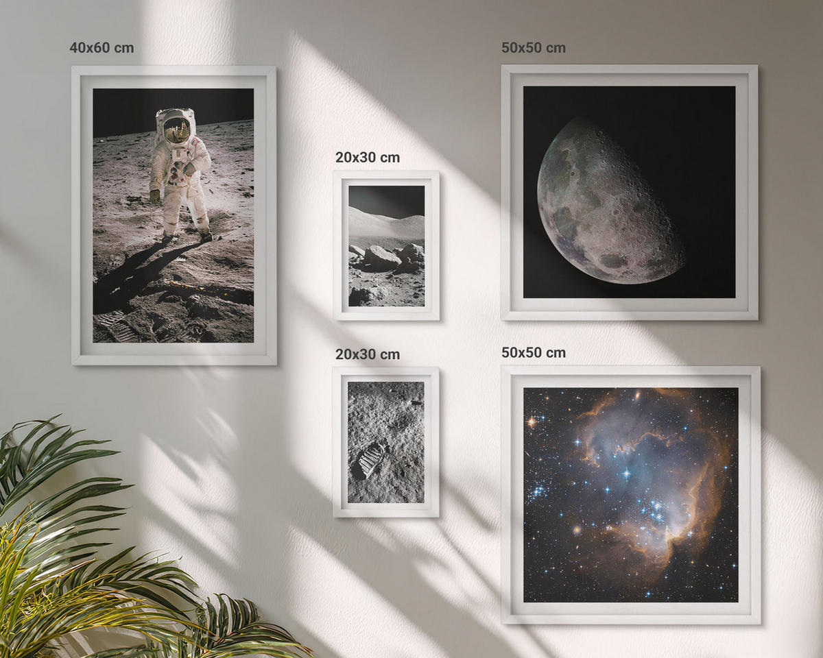 TULUP BILDER SET 5er Set - 50x50 cm & 20x30 cm & 40x60 cm Weißer Rahmen ...