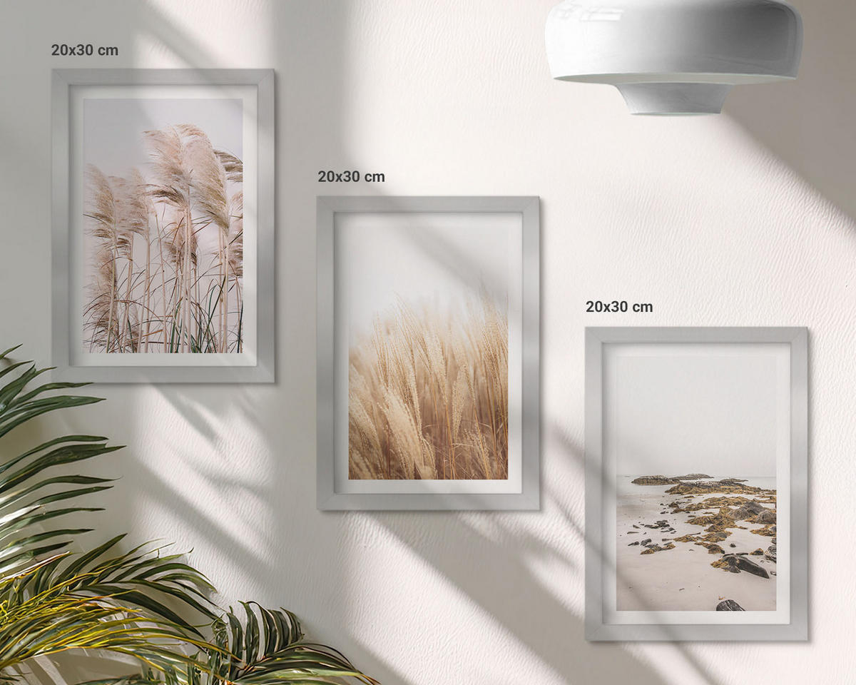 TULUP BILDER SET 3er Set - 20x30 cm Silberner Rahmen - Pampasgrasfelder ...